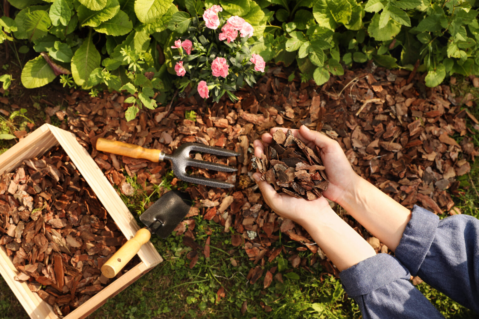 Mulchen Im Garten So Geht S Richtig Das Haus